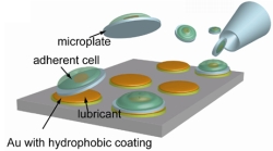 MEMS/マイクロ流体デバイス | 東京大学 竹内研究室 – Biohybrid Systems Laboratory